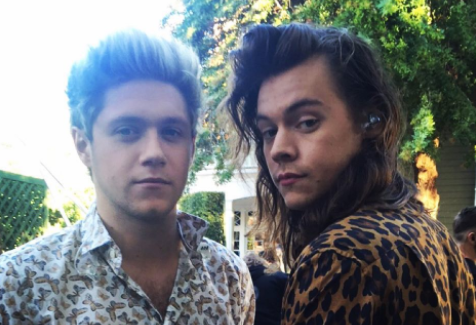 Watch: Niall Horan supports Harry Styles at LA concert