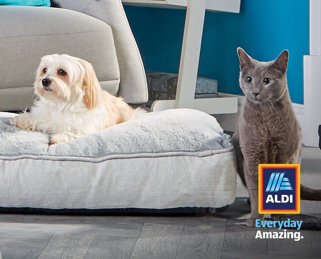 Show them you care with Aldi's new Premium Companion and Vitacat pet ...