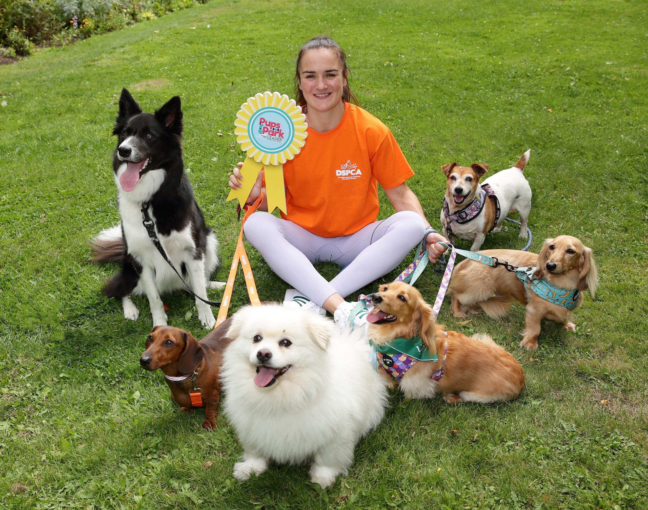 Kellie Harrington announces Pups in the Park for Doggie Lovers is back ...
